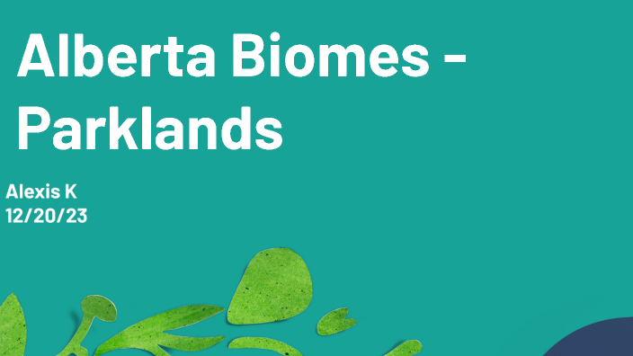 Alberta Biomes by Alexis Kutcher on Prezi