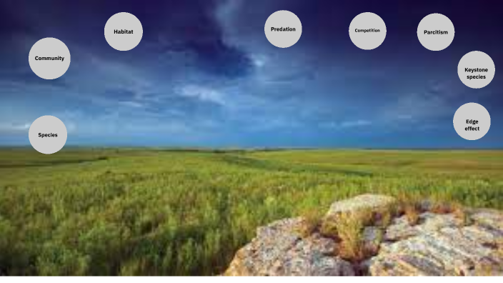 Great Plains by Alyssa Reis on Prezi