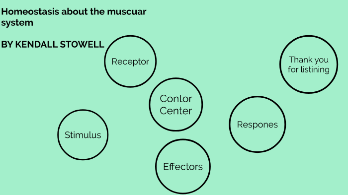 Homeostasis project by Kendall Stowell on Prezi