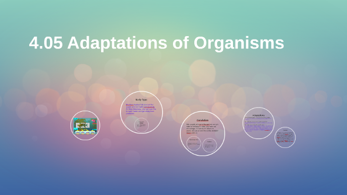 4.05 Adaptations of Organisms by Victoria Beaupre on Prezi