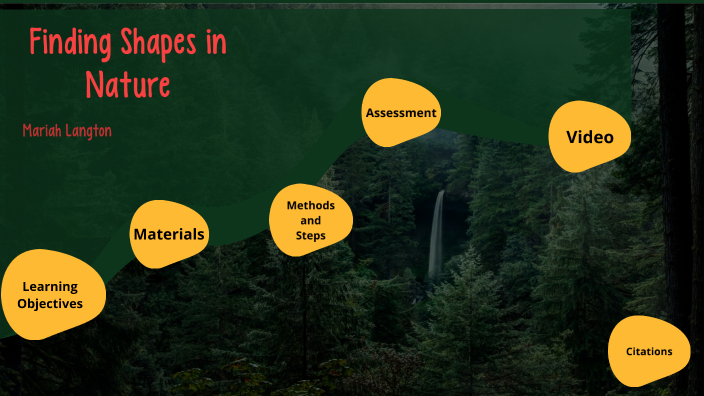 Finding Shapes in Nature by Mariah Langton