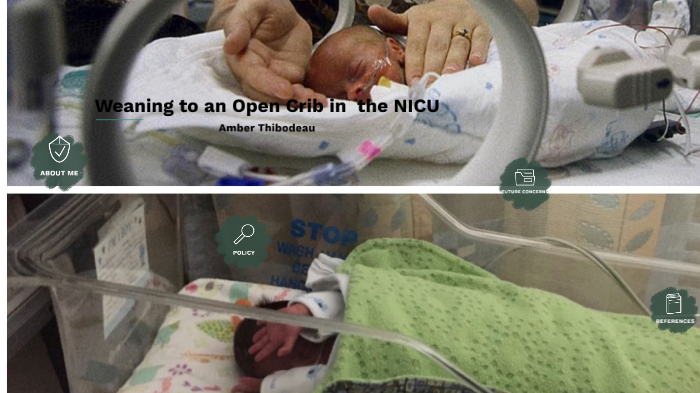 NICU weaning to Open Crib Policy by Amber Thibodeau on Prezi