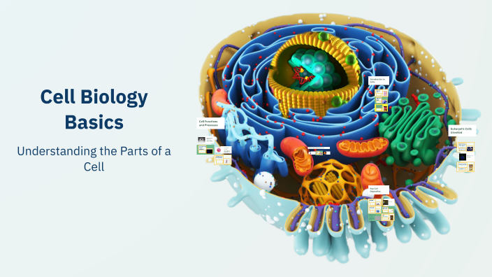 Cell Biology Basics by Catherine Cole on Prezi