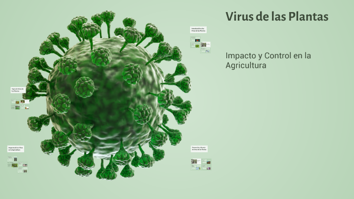 Virus de las Plantas by Polar Roblez on Prezi