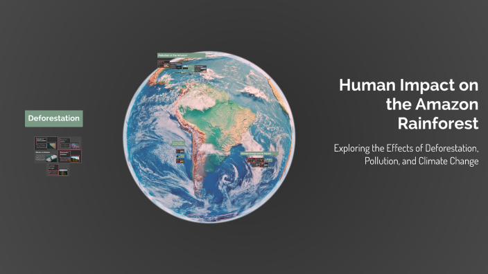 Human Impact on the Amazon Rainforest by Luca Yu on Prezi