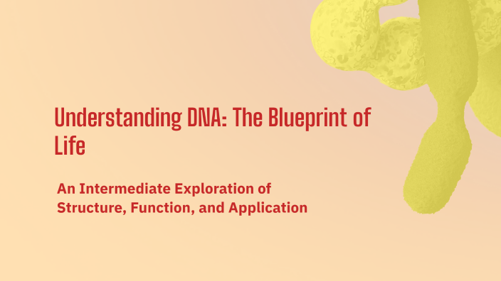Understanding DNA: The Blueprint of Life by Daksh on Prezi