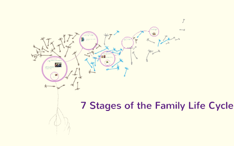7 Stages of the Family Life Cycle by Mariah Lowe on Prezi