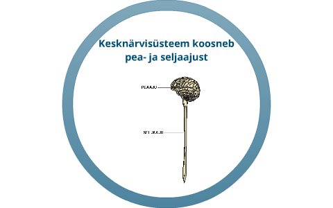 PEAAJU by Age Link on Prezi