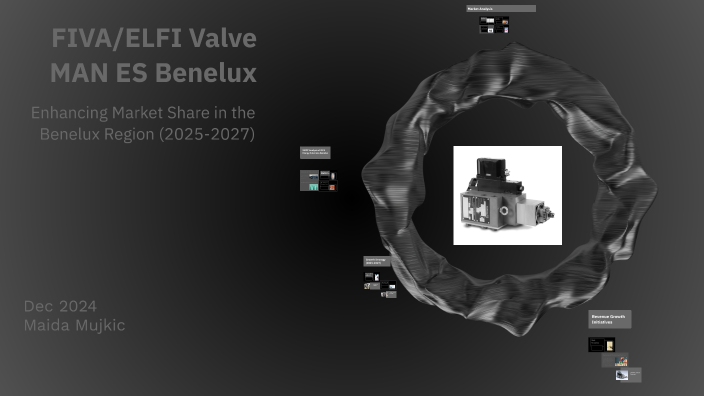 FIVA/ELFI Valve Overhauls Strategy by Maida Maya on Prezi