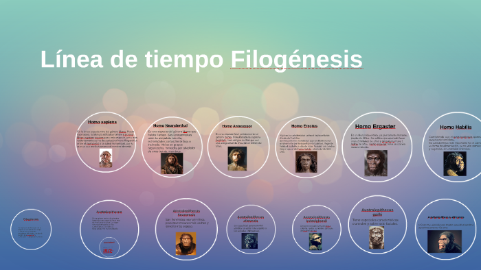 Línea de tiempo Filogénesis by elsie quintana on Prezi