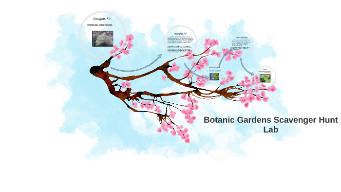 Botanic Gardens Scavenger Hunt Lab by Madly Espinoza on Prezi