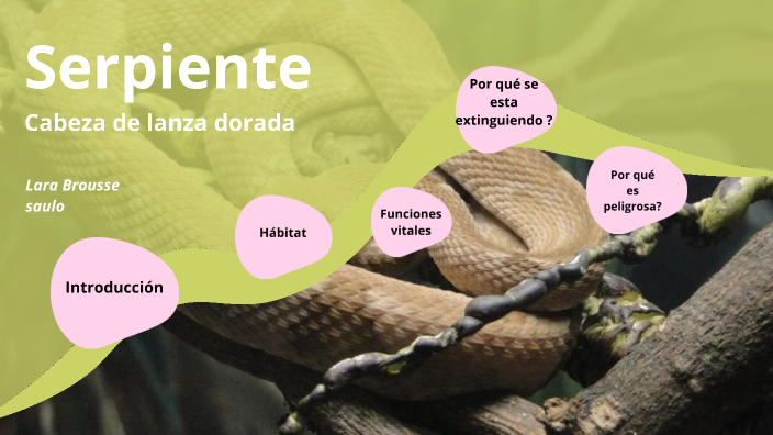 presentacion serpiente by Lara Saulo on Prezi