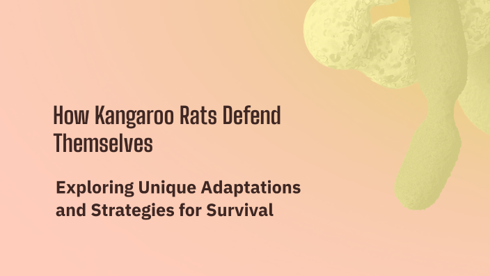 How Kangaroo Rats Defend Themselves by Giovanni Becerra on Prezi