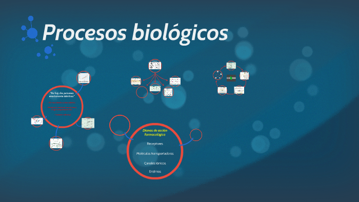 Procesos biológicos by Alfredo Sánchez on Prezi