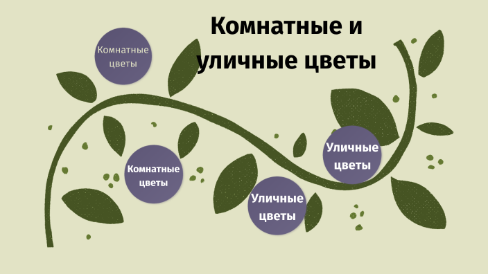 Цветы в доме by Яна Рим on Prezi