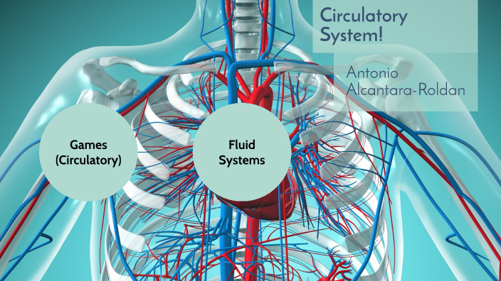 Circulatory and Lymphatic System by Antonio Alcantara-Roldan on Prezi