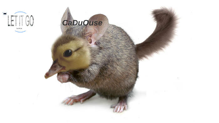 CaDuOuse by KayKay (Chelsea) Salinas on Prezi