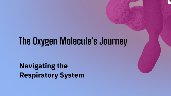 The Oxygen Molecule's Journey by mara tuffin on Prezi