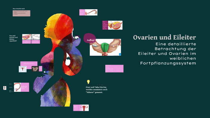 Ovation und Eileiter by Anika Rennertz on Prezi