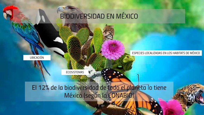 Biodiversidad en Mexico by Iván Flores on Prezi