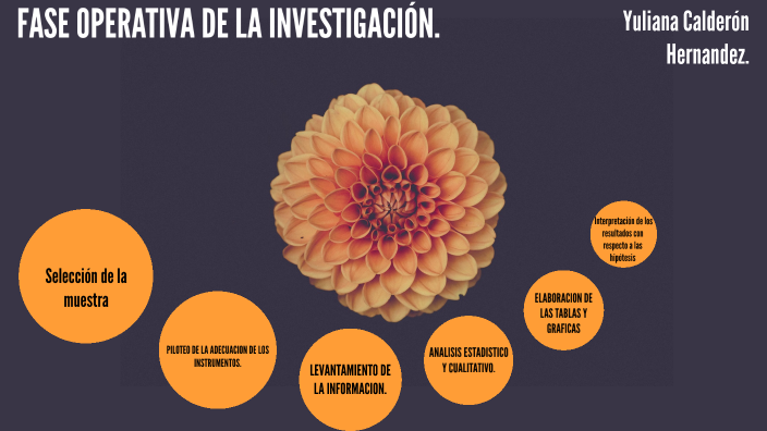 Fase operativa de la investigación by Yuliana Calderón on Prezi