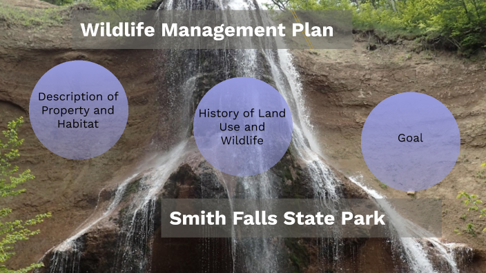 Wildlife Management Plan by Caleb Most on Prezi