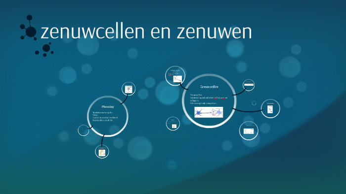 zenuwcellen en zenuwen by bob jansen on Prezi