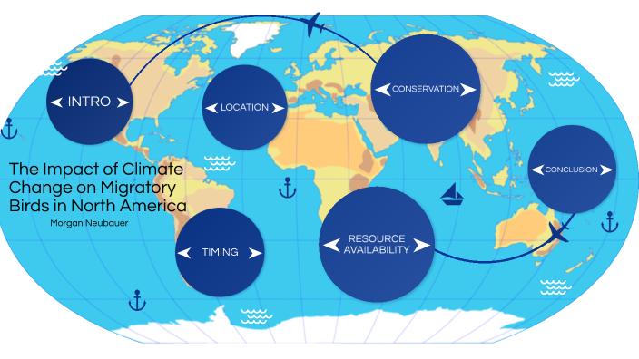 The Impact of Climate Change on Migratory Birds in North America by ...