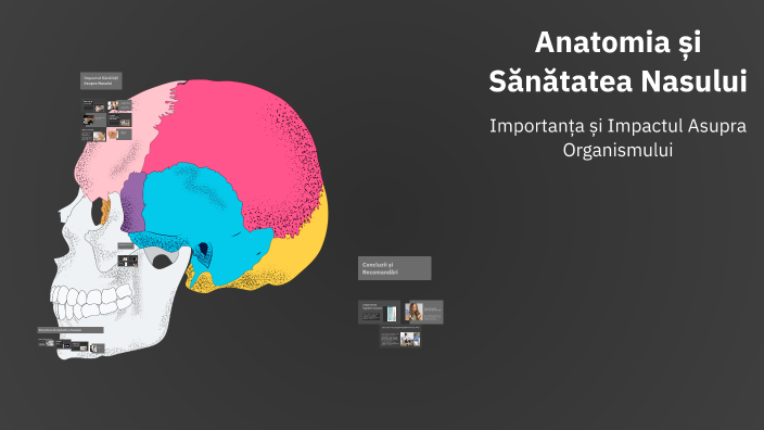 Anatomia și Sănătatea Nasului by Alexia Mold on Prezi