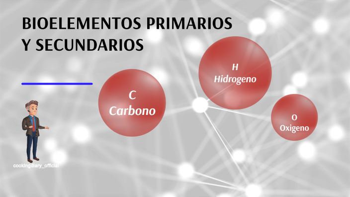 bioelemntos primarios by Jimena arcos on Prezi