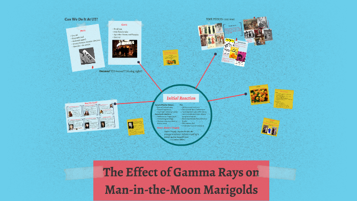 The Effect of Gamma Rays on Man-in-the-Moon Marigolds by Lauren Biggs ...
