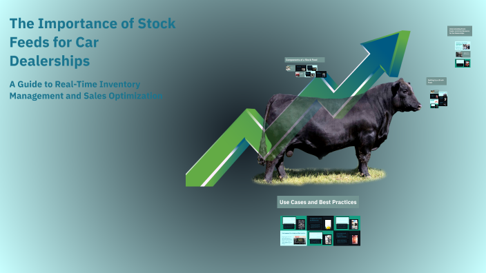 The Importance of Stock Feeds for Car Dealerships by Parisa ...