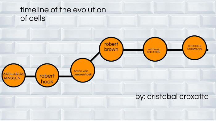timeline of evolution of cells by cristobal croxatto on Prezi