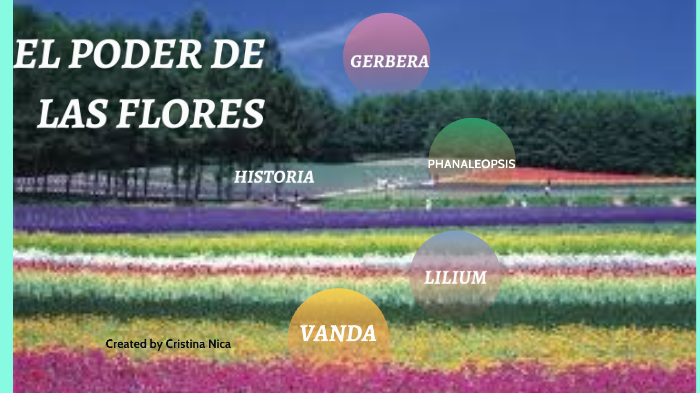 EL PODER DE LAS FLORES by Maria Cristina on Prezi