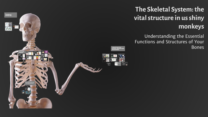 The Skeletal System: How Your Bones Build You Up by Serah Paul on Prezi