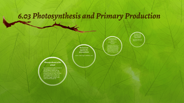 6.03 Photosynthesis and Primary Production by grace cawell on Prezi