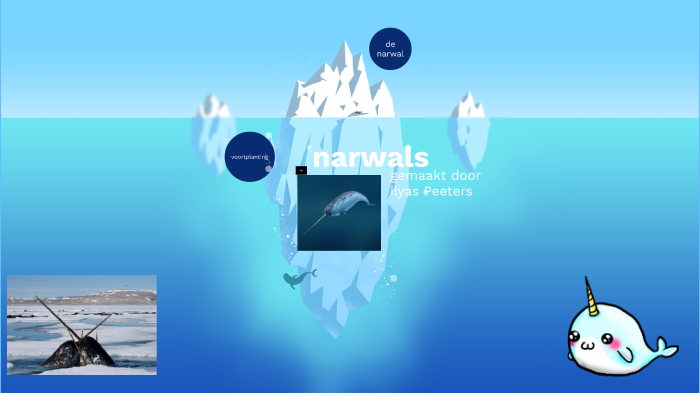 de narwal by ilyas peeters on Prezi