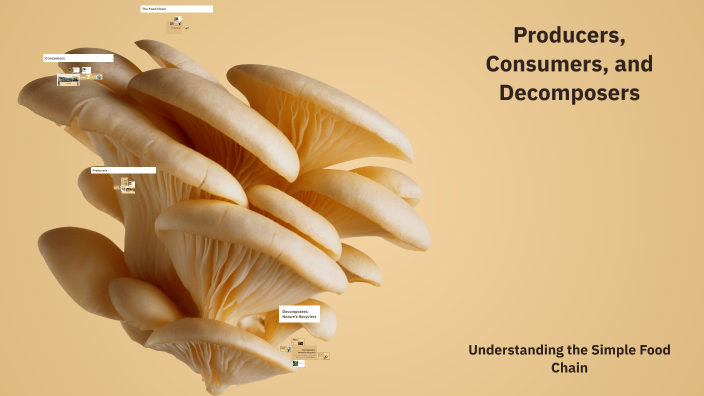 Producers, Consumers, and Decomposers by Nada El Haj Youssef on Prezi