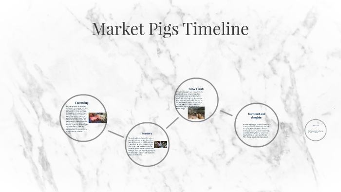 Market Pigs Timeline by max schardin on Prezi