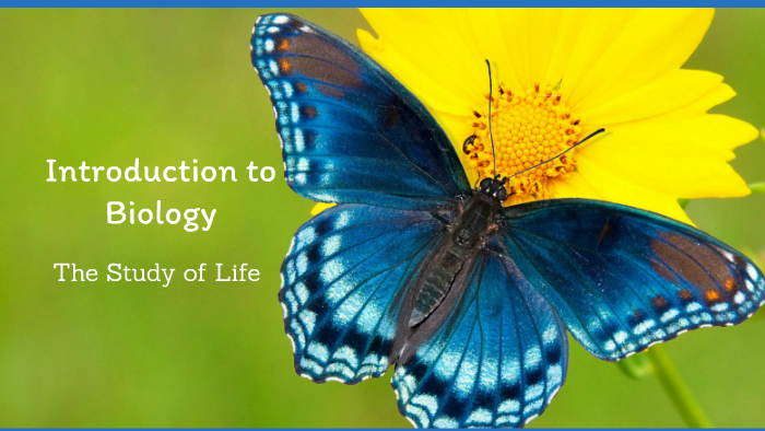 Biology- The study of living things by David Brake on Prezi