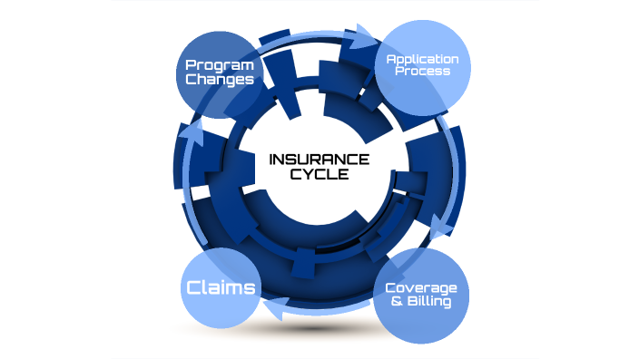 Insurance Cycle by Hannah Van Wyk on Prezi