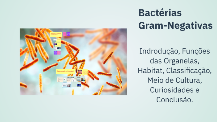 Bactérias Gram-Negativas by Nicolas Tenório on Prezi
