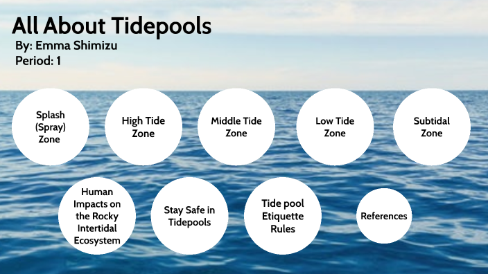 Tidepools by Emma G. Shimizu on Prezi
