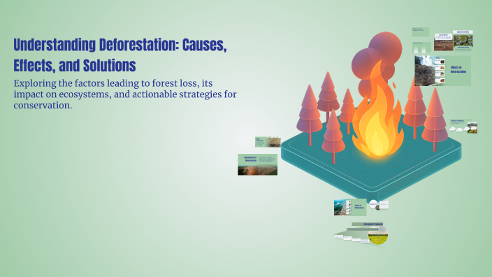 Understanding Deforestation: Causes, Effects, and Solutions by mohammed ...