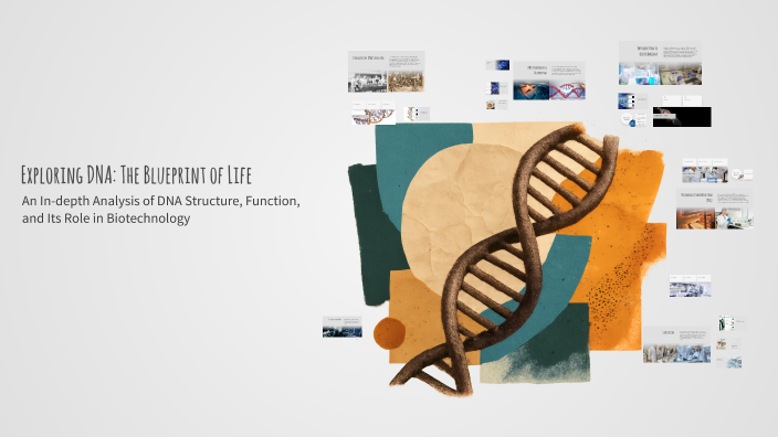 Exploring DNA: The Blueprint of Life by YoYo on Prezi
