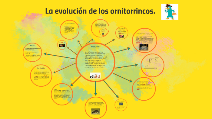 LA EVOLUCIÓN DE LOS ORNITORRINCOS by Fran de la Torre on Prezi