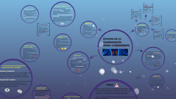 ESTUDIO DE LA GAMMAGRAFÍA RENAL O RENOGRAMA by rosa pura on Prezi