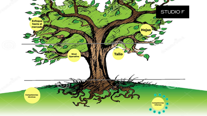 ARBOL DE COMPETENCIAS STUDIO F by Lorena Alvarez on Prezi