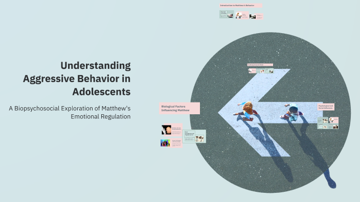 Understanding Aggressive Behavior in Adolescents by Cliff Patterson on ...