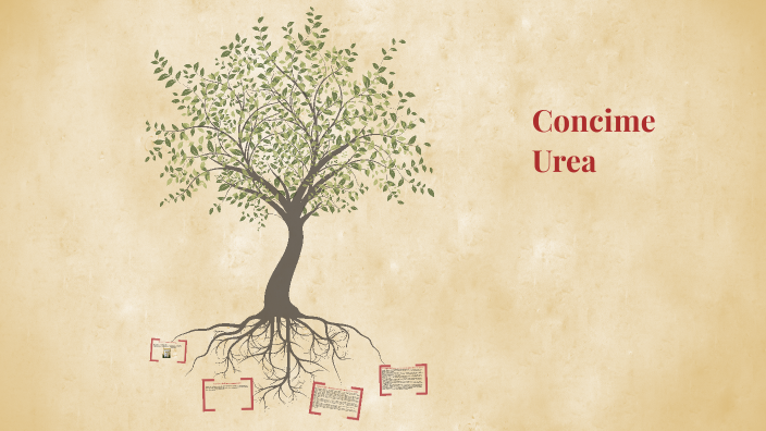 Concime Urea by Riccardo Marangon on Prezi